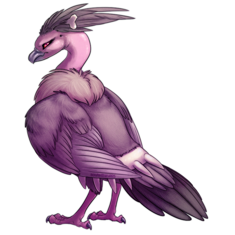 The Big ImageBoard (TBIB) - 1:1 accipitriform alpha channel avian bird bone feathered wings ...