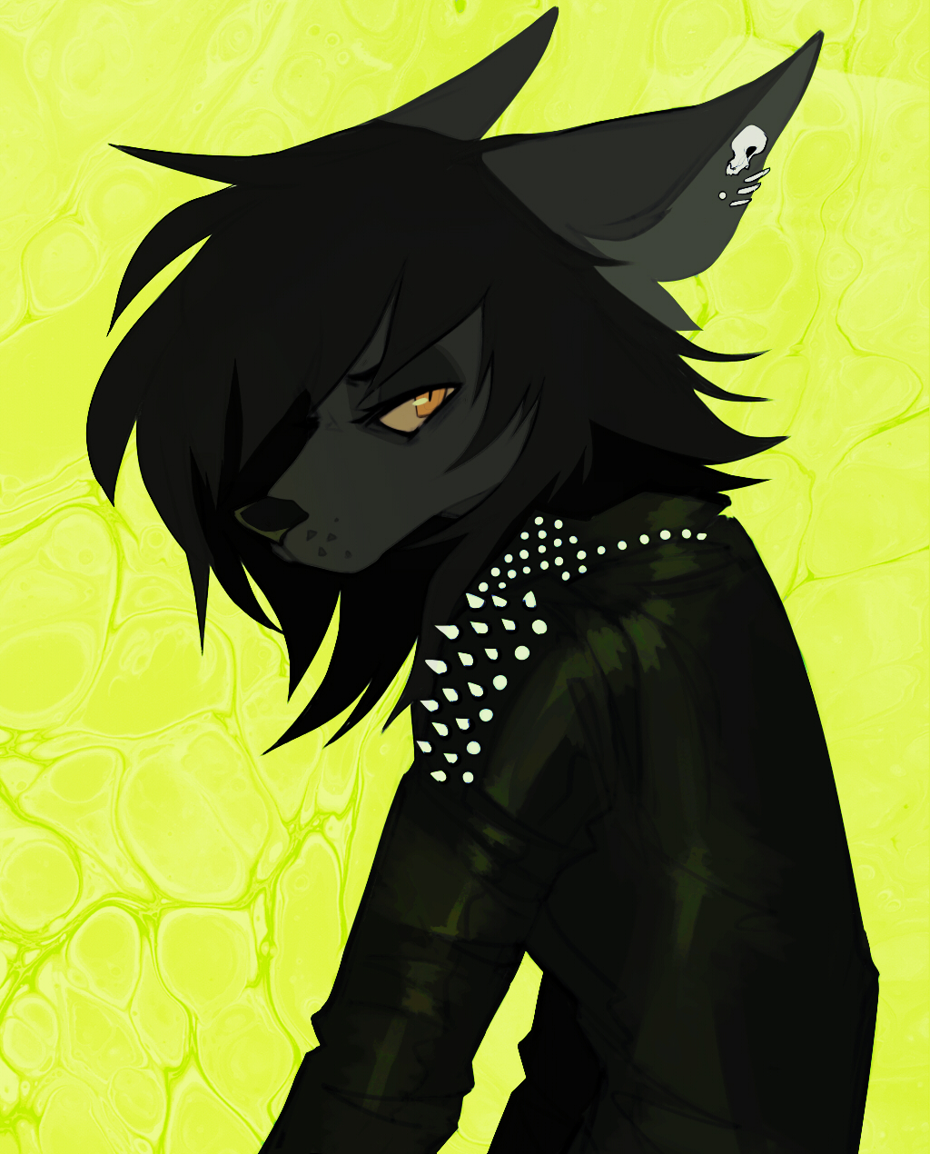 The Big ImageBoard (TBIB) - amber eyes anthro black hair canid canine canis clothing female hair ...