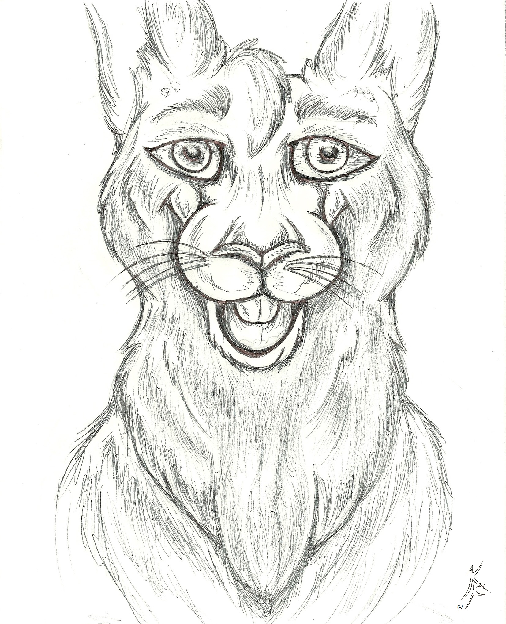 The Big ImageBoard (TBIB) - anthro black and white bust portrait feral ...