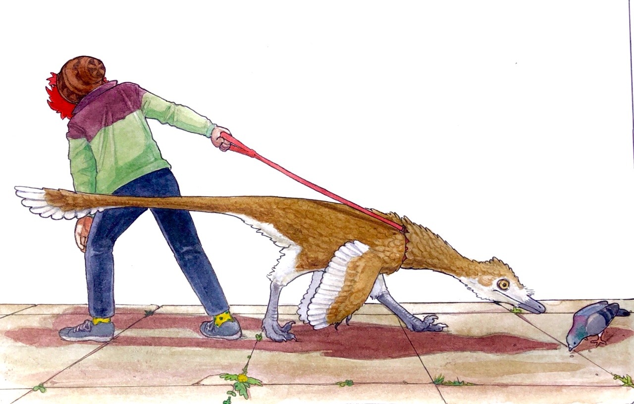 The Big ImageBoard (TBIB) - ambiguous gender arm feathers avian beak bird claws clothed clothing ...