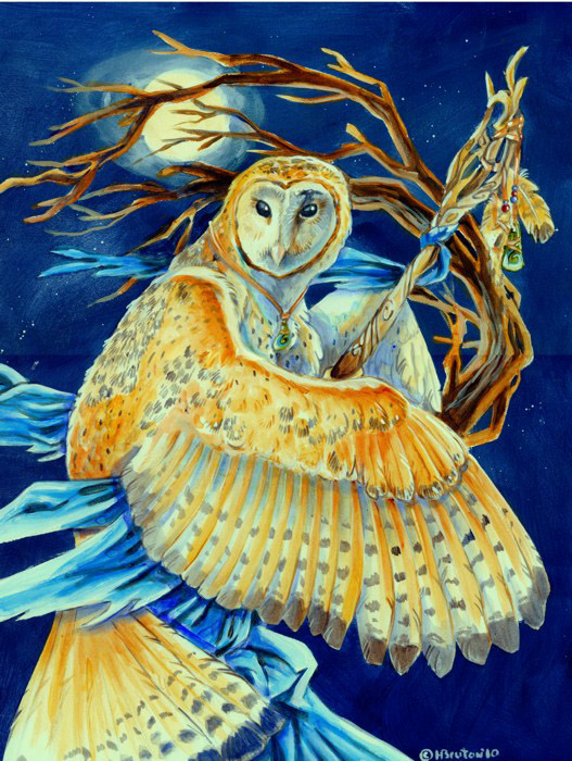 The Big Imageboard Tbib Ambiguous Gender Avian Barn Owl Feral