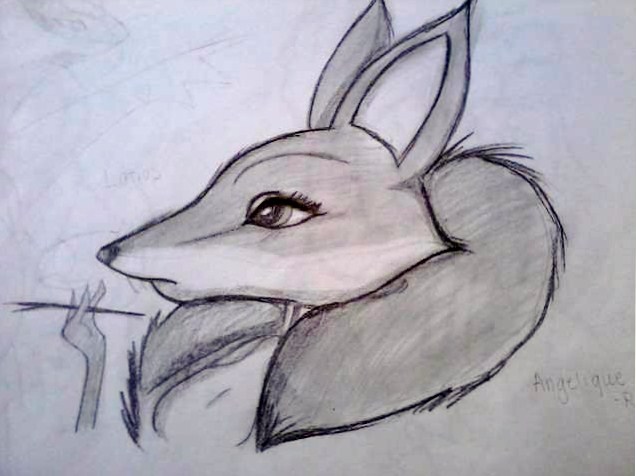 The Big ImageBoard (TBIB) - canine clothing dragon2468 female fox ...