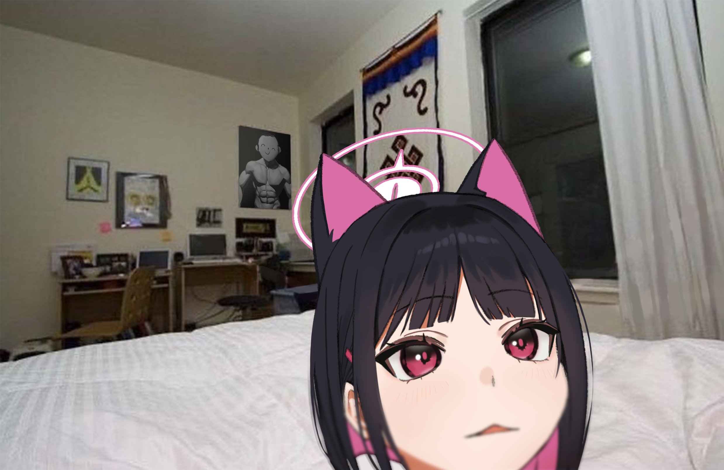 The Big ImageBoard (TBIB) - 1girl animal ears bed bedroom black hair blue archive cat ears ...