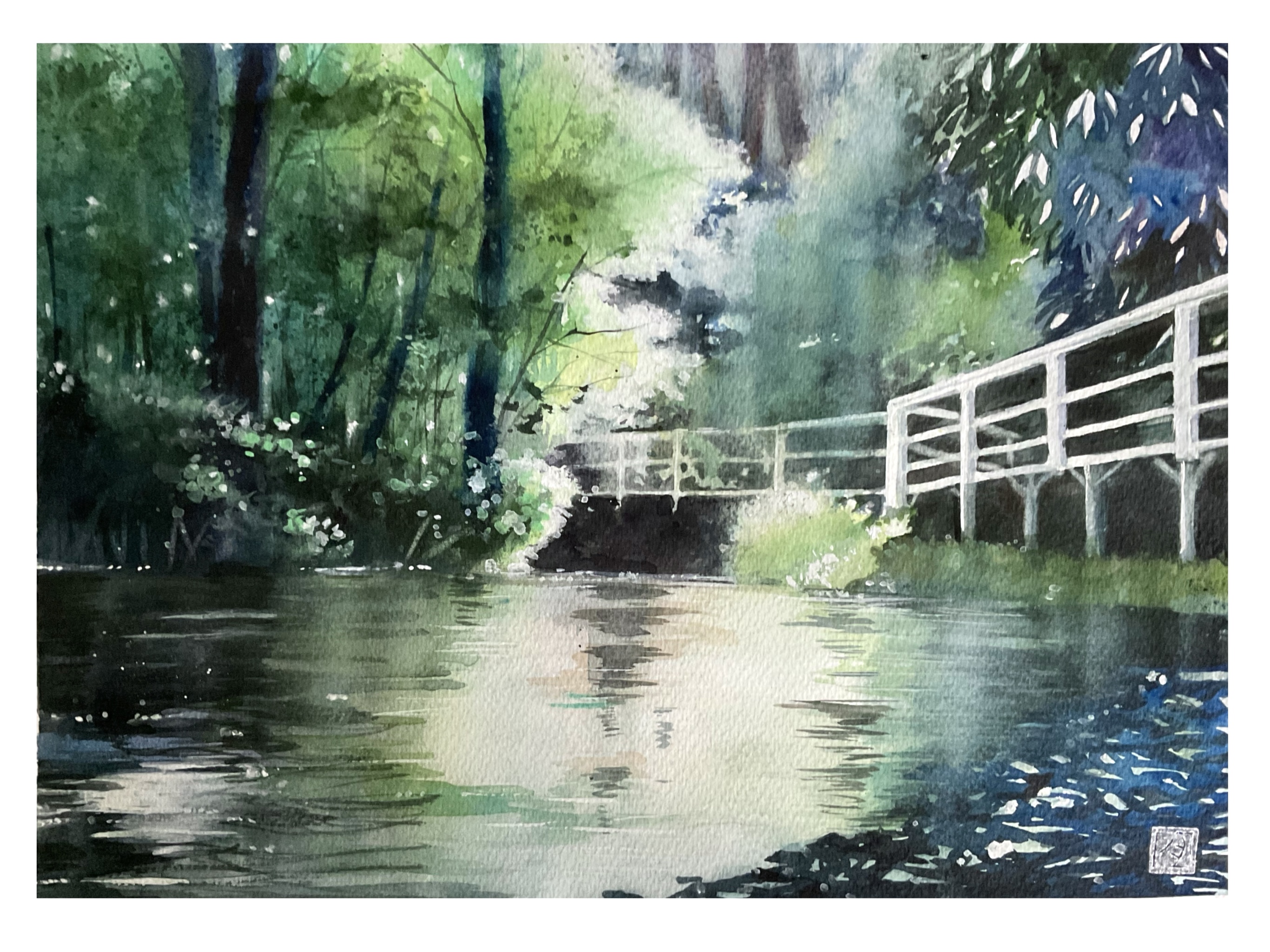 The Big ImageBoard (TBIB) - day forest grass highres landscape nature ...