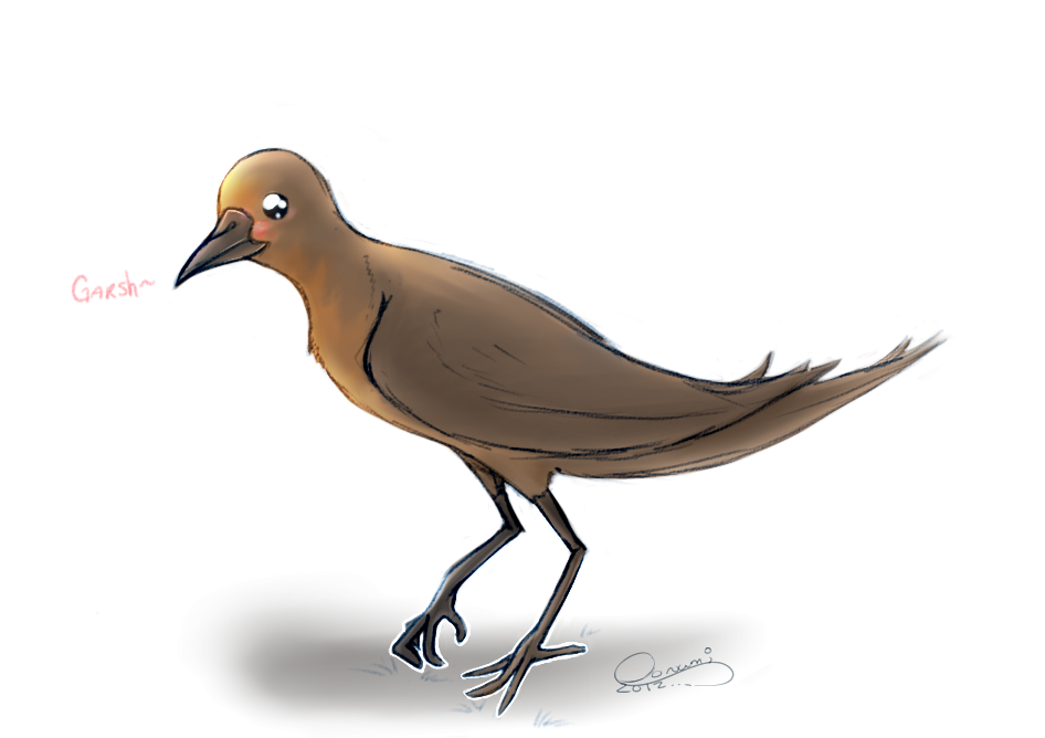 The Big ImageBoard (TBIB) - 2012 ambiguous gender avian beak bird blush feathered wings feathers ...