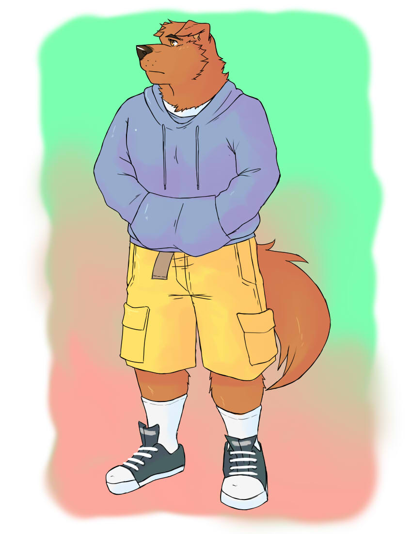 The Big ImageBoard (TBIB) - amber eyes belt black nose brown fur canine ...