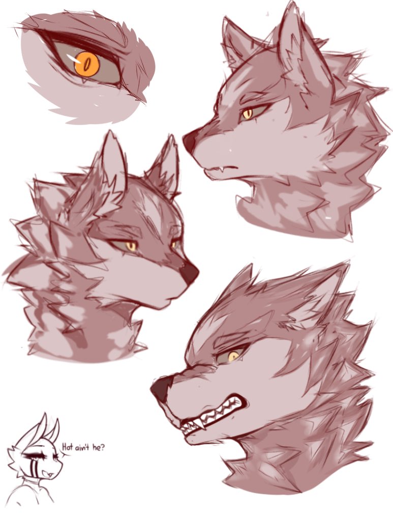 The Big ImageBoard (TBIB) - anthro biped black nose canid canine canis ...