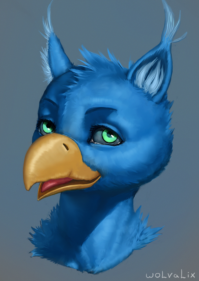 The Big Imageboard Tbib Ambiguous Gender Avian Beak Bird Blue Body