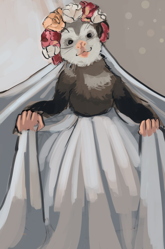 The Big Imageboard Tbib 2024 American Opossum Anthro Biped Black 0048