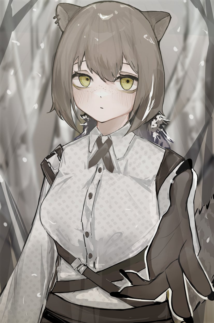 The Big ImageBoard (TBIB) - animal ears arknights brown hair forest highres looking at viewer ...