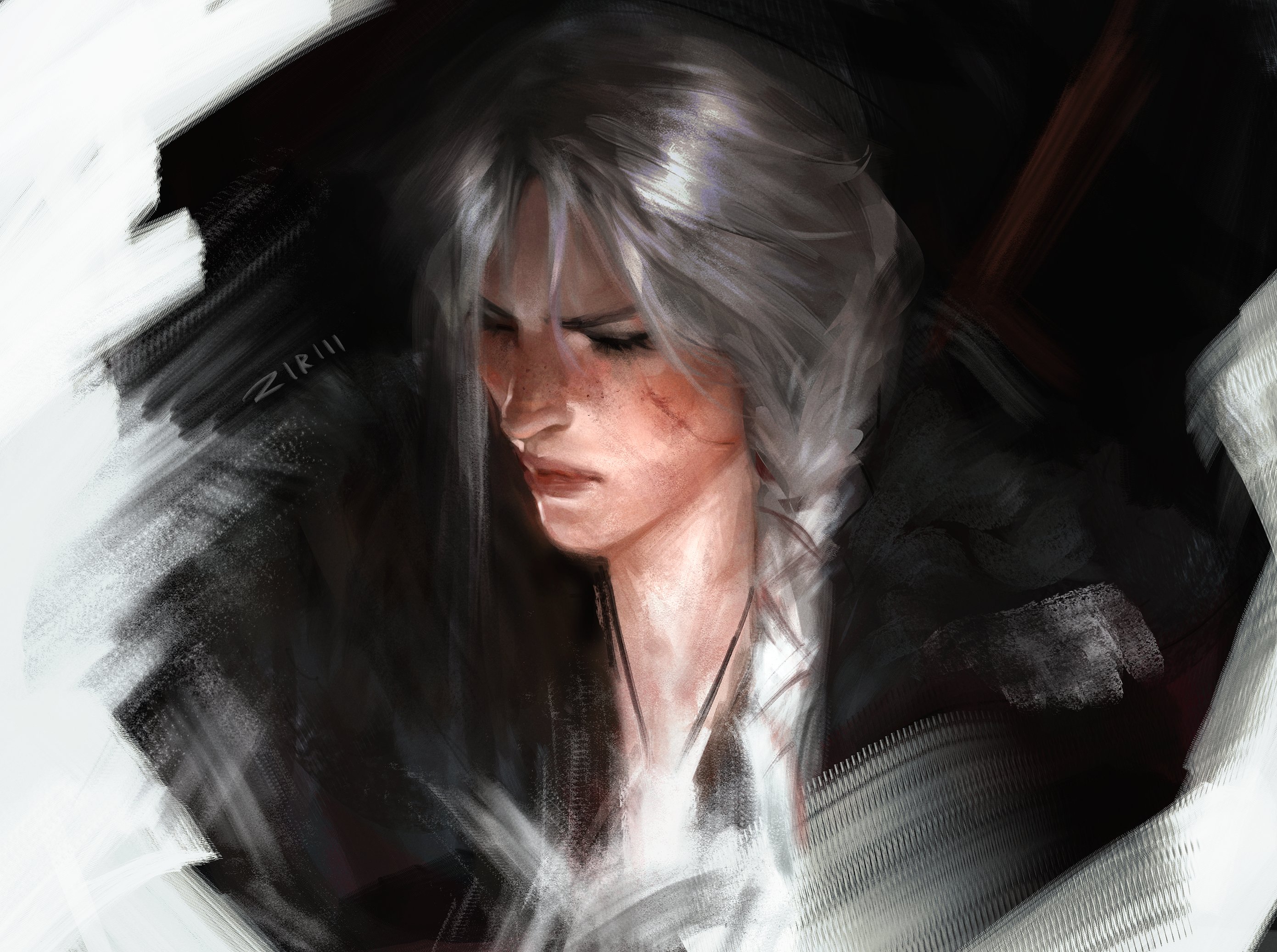 The Big ImageBoard (TBIB) - 1girl braid braided ponytail ciri closed ...