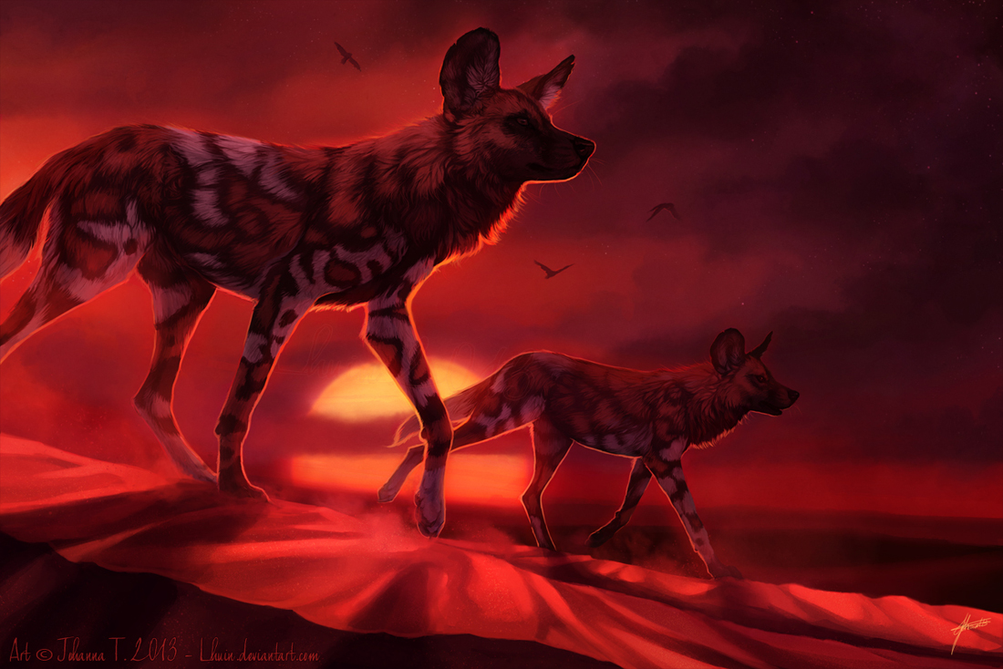 The Big ImageBoard (TBIB) - african wild dog ambiguous gender avian bird canid canine desert duo ...
