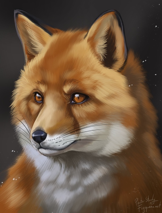 The Big ImageBoard (TBIB) - 2014 ambiguous gender anthro black lips black nose canid canine ...