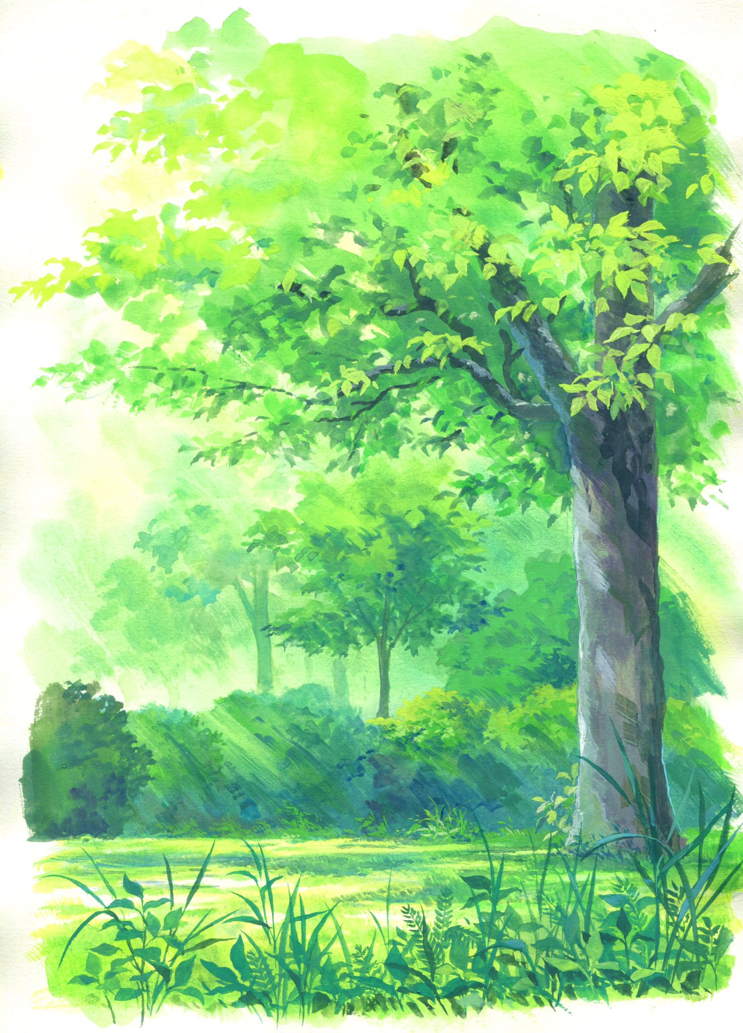 The Big ImageBoard (TBIB) - bush forest grass highres nature no humans ...