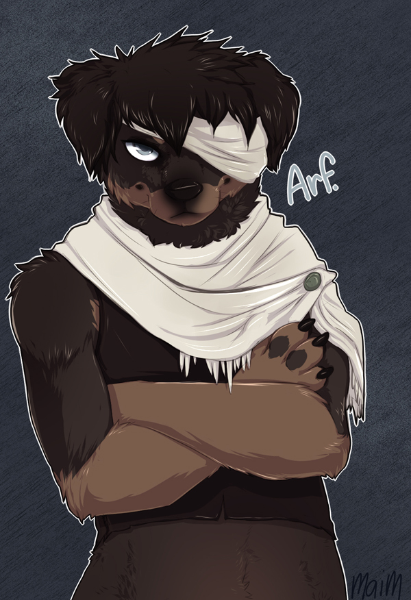 The Big ImageBoard (TBIB) - 2014 ambiguous gender anthro avoid posting biped canid canine canis ...