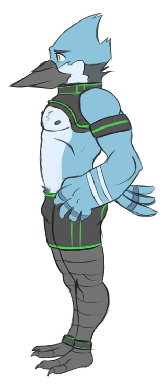 The Big ImageBoard (TBIB) - 2 toes anthro avian avian feet beak biped bird blue jay cartoon ...