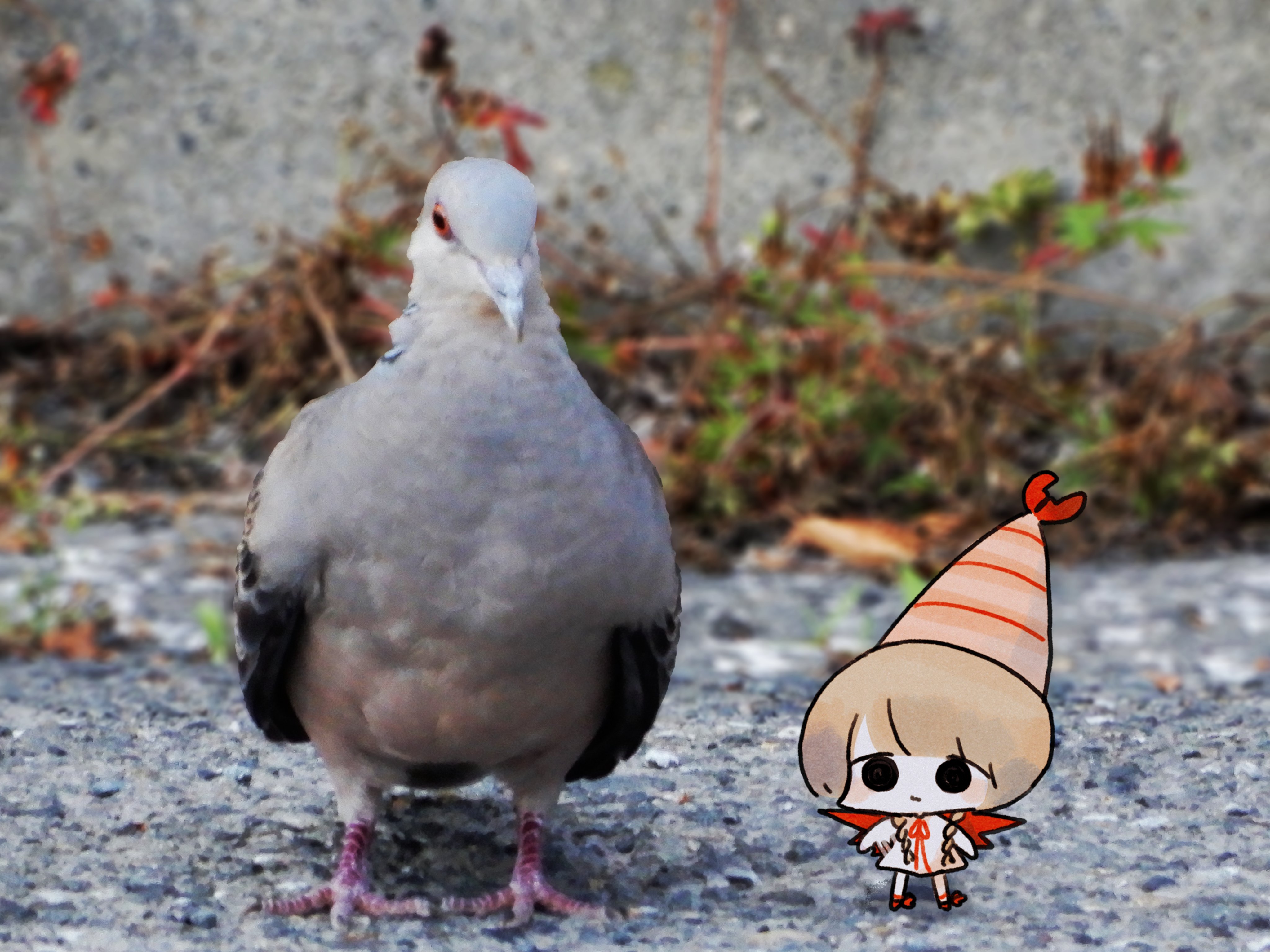 The Big ImageBoard (TBIB) - 1girl absurdres bird black eyes blonde hair ...