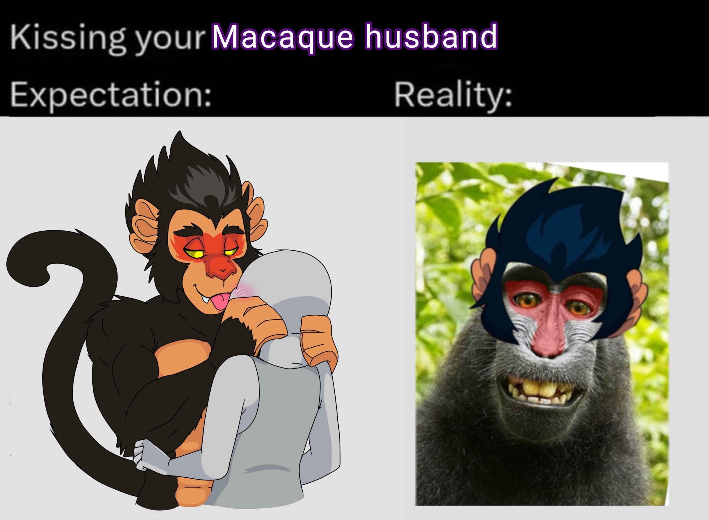 The Big ImageBoard (TBIB) - ambiguous gender ambiguous on anthro anthro ape aratinga nana28 ...