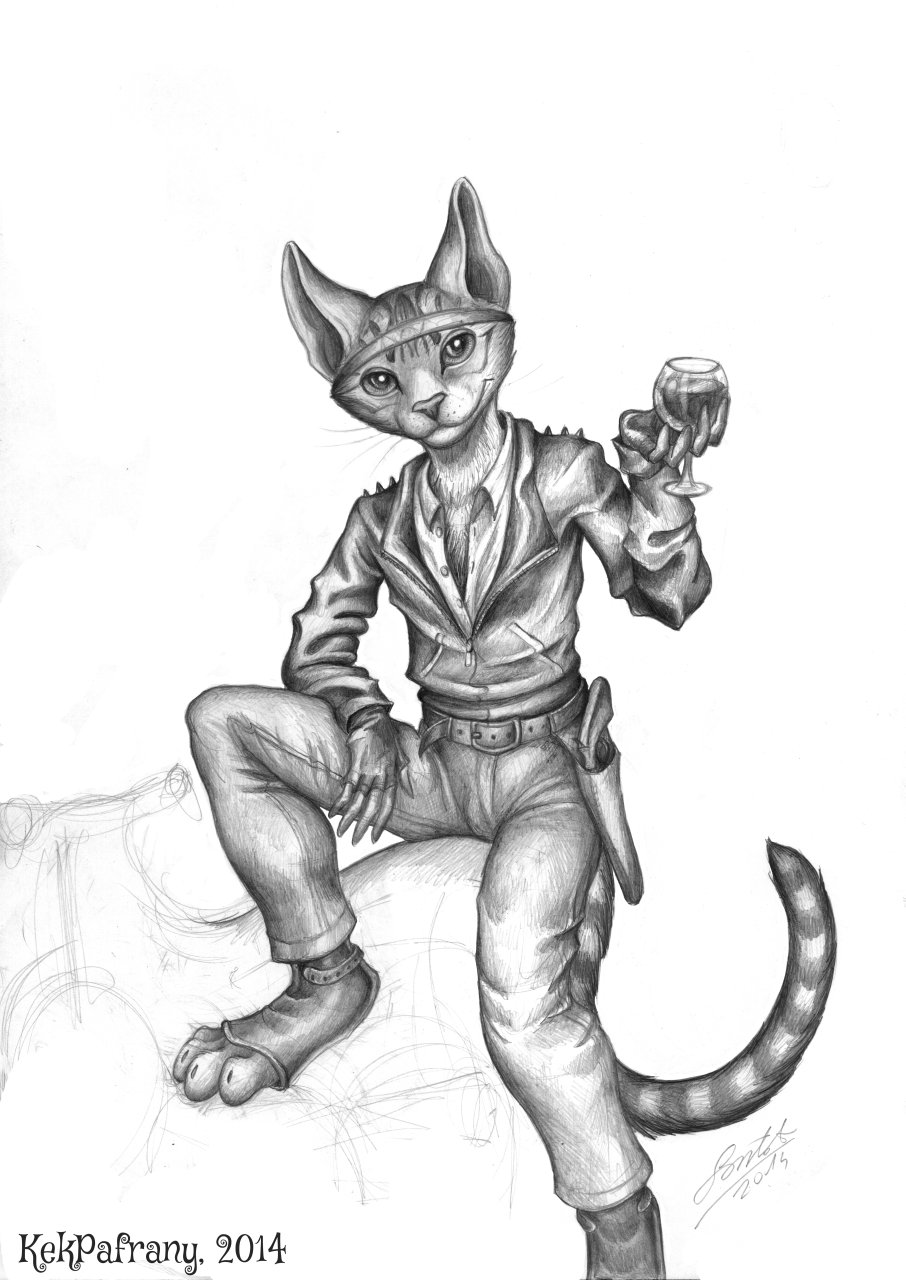 The Big ImageBoard (TBIB) - 2014 alcohol anthro bandit (disambiguation) beverage domestic cat ...