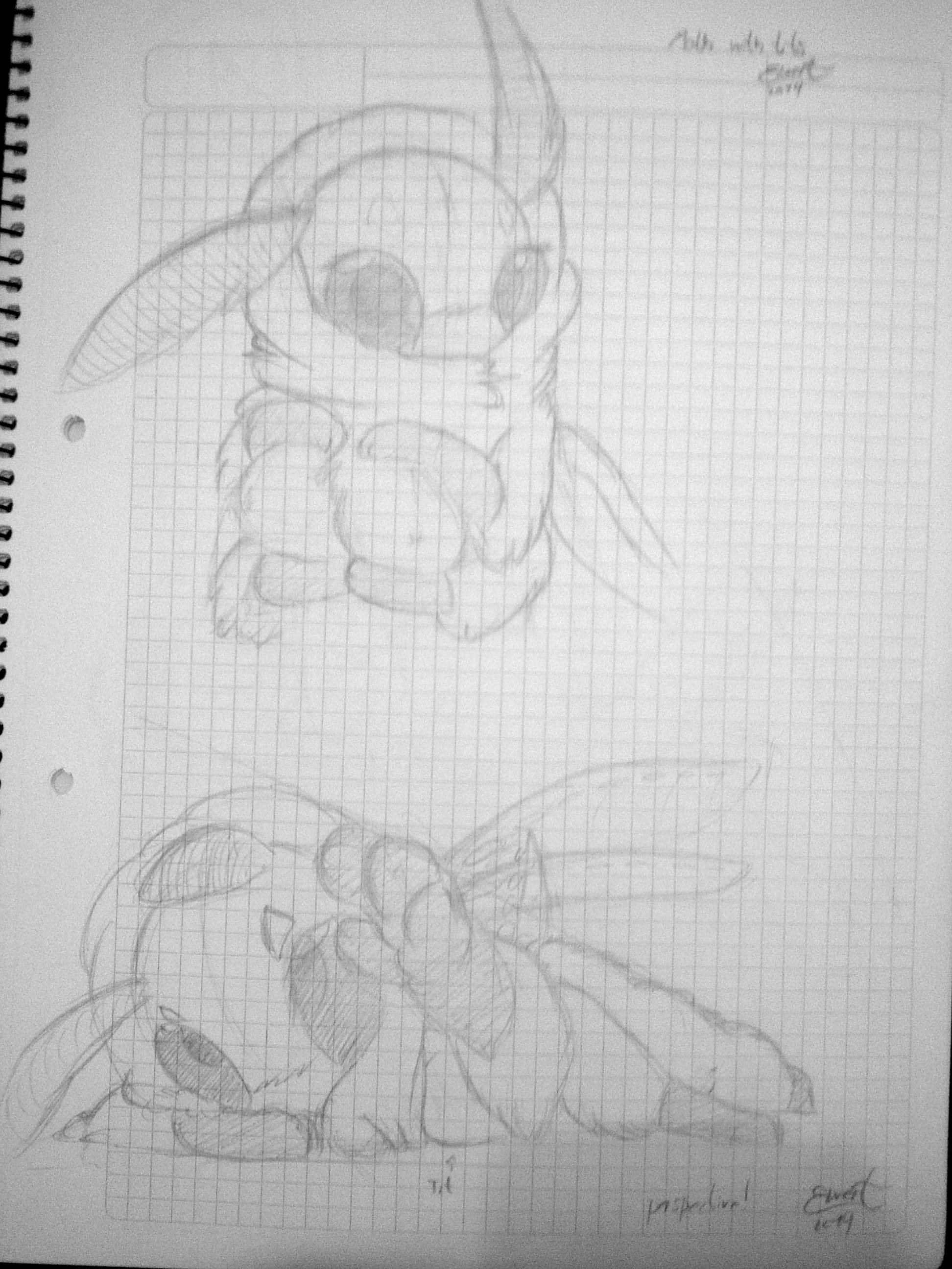 The Big Imageboard Tbib 3 4 Absurd Res Antennae Anatomy Arthropod
