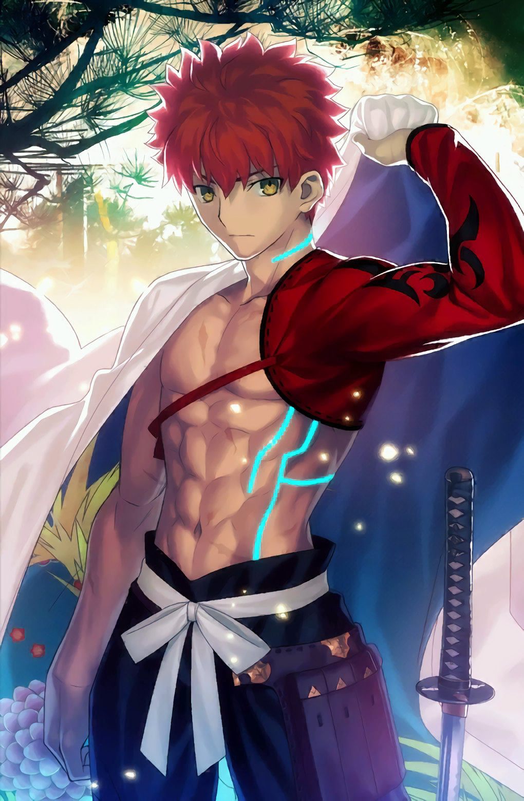 The Big ImageBoard (TBIB) - abs armor emiya shirou fate/grand order ...