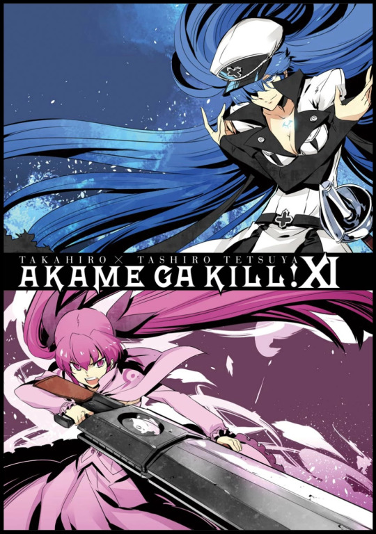 The Big Imageboard Tbib 2girls Akame Ga Kill Akame Ga Kill Extra