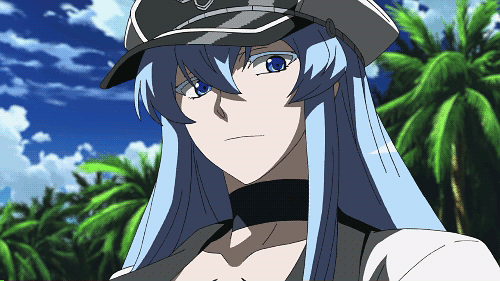 The Big ImageBoard (TBIB) - 1girl akame ga kill! animated animated gif ...