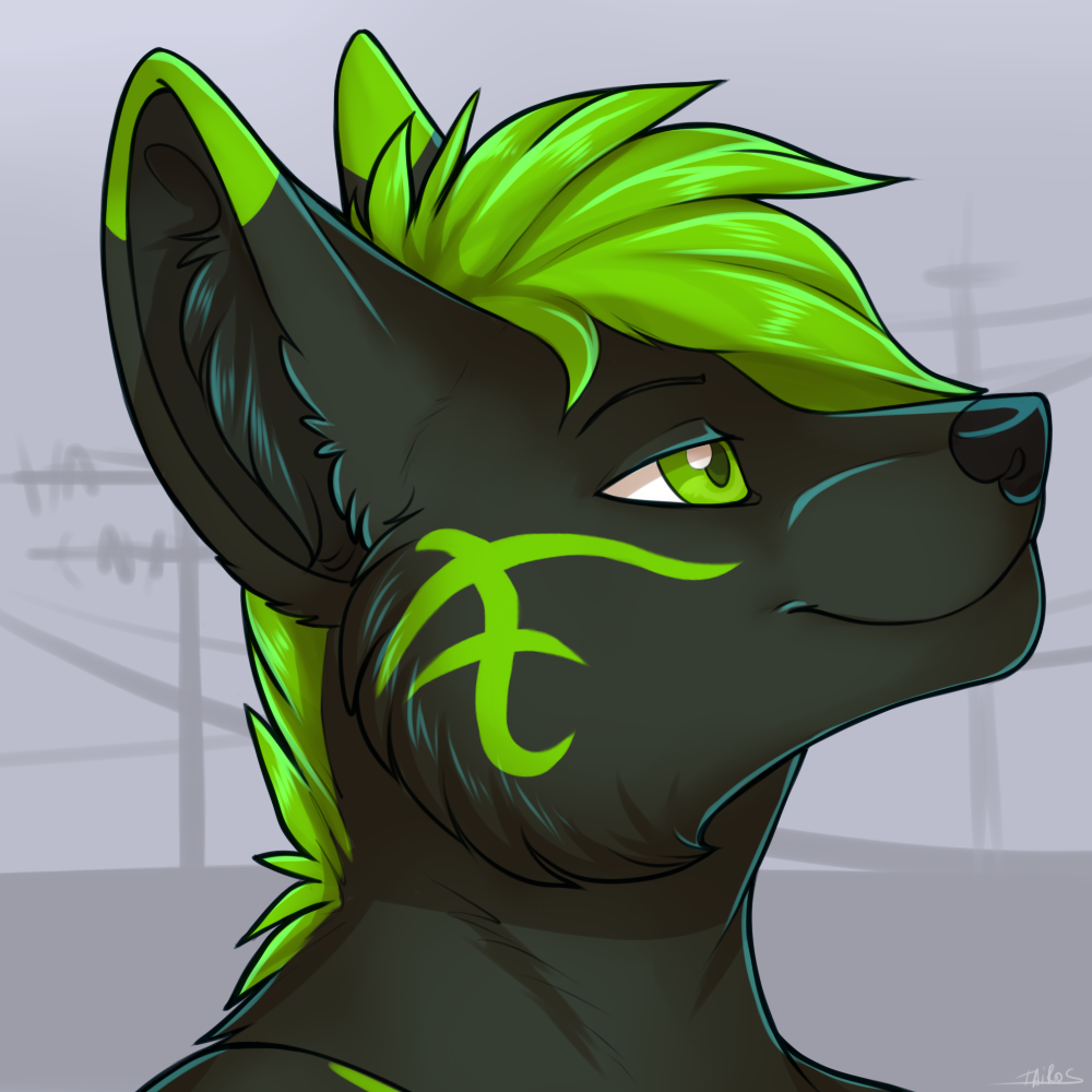 The Big ImageBoard (TBIB) - 1:1 anthro canid canine digital media (artwork) green hair hair ...
