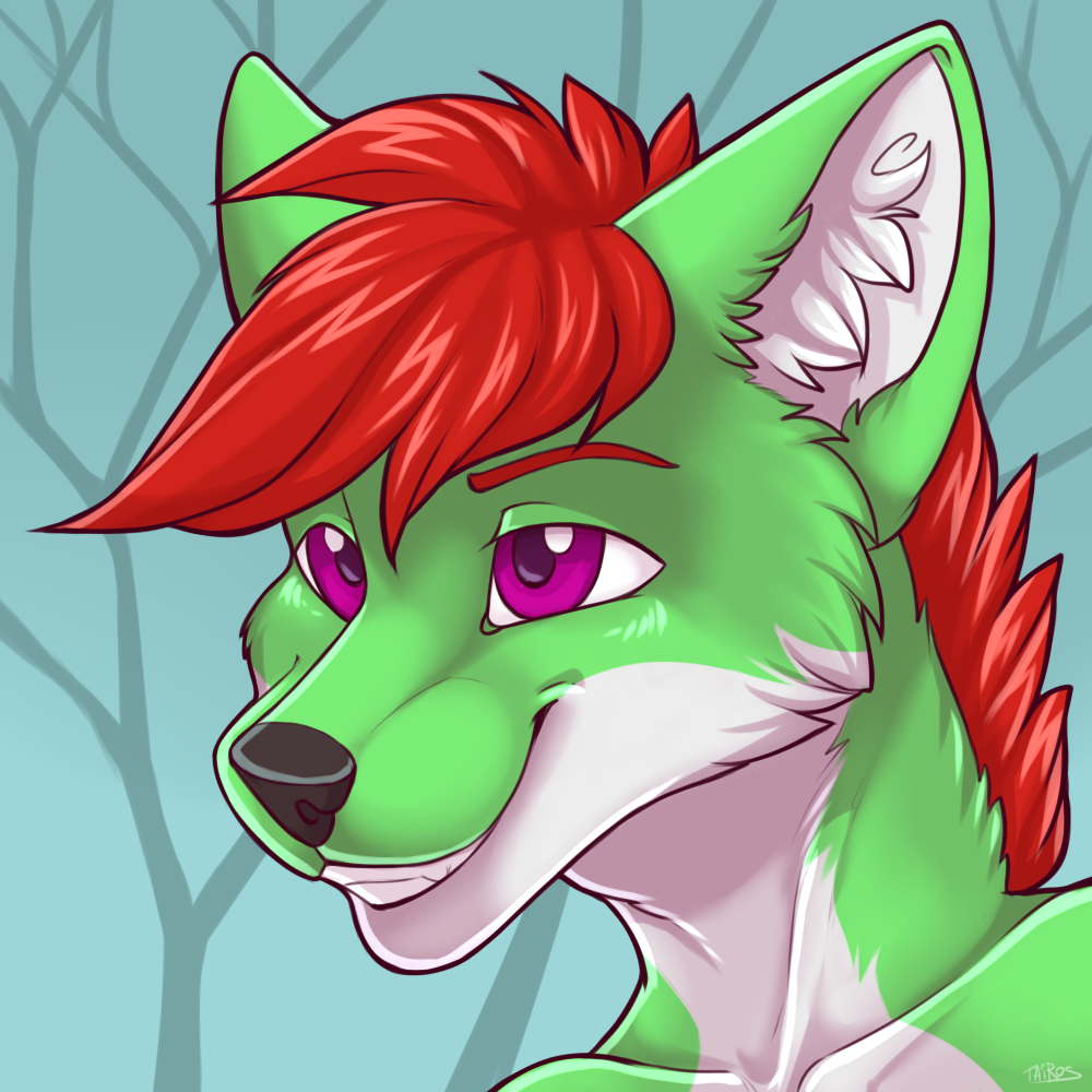 The Big ImageBoard (TBIB) - 1:1 anthro black nose bust portrait canid canine digital media ...