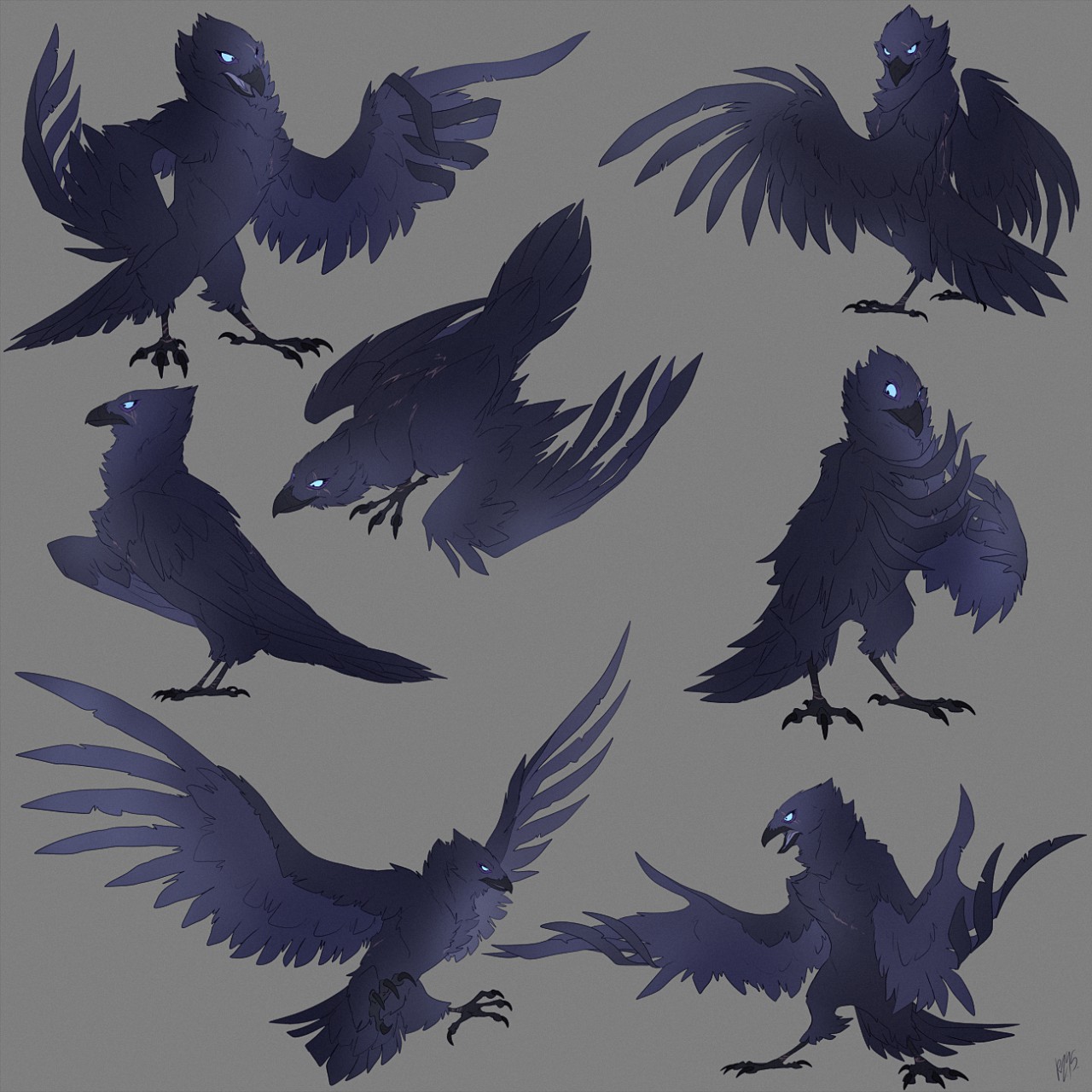 The Big ImageBoard (TBIB) - 1:1 4 toes anisodactyl avian avian feet beak bird corvid corvus ...