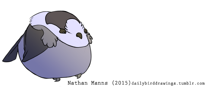 The Big ImageBoard (TBIB) - 2015 ambiguous gender avian beady eyes beak biped bird black beak ...