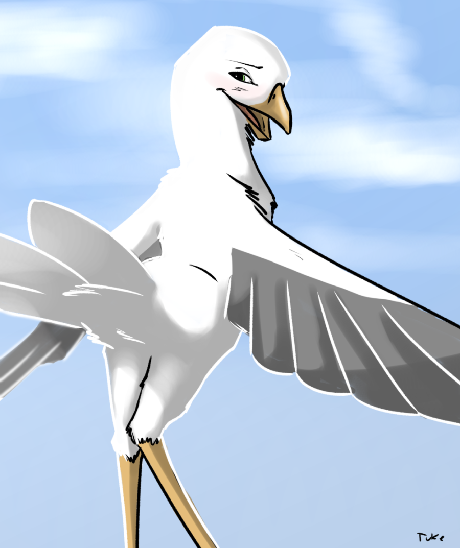 The Big ImageBoard (TBIB) - 2016 ambiguous gender avian avian butt beak bird feathered wings ...