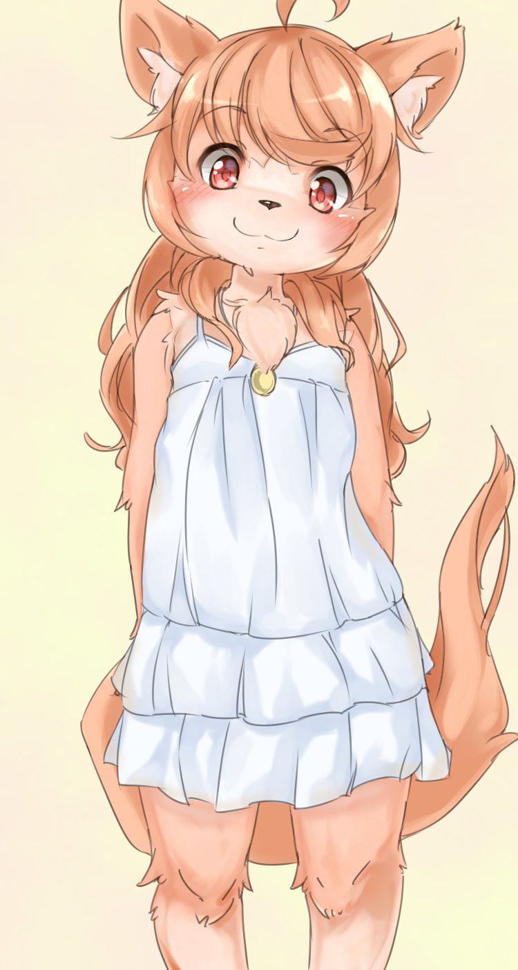 The Big ImageBoard (TBIB) - :3 anthro bd collie blush canid canine ...