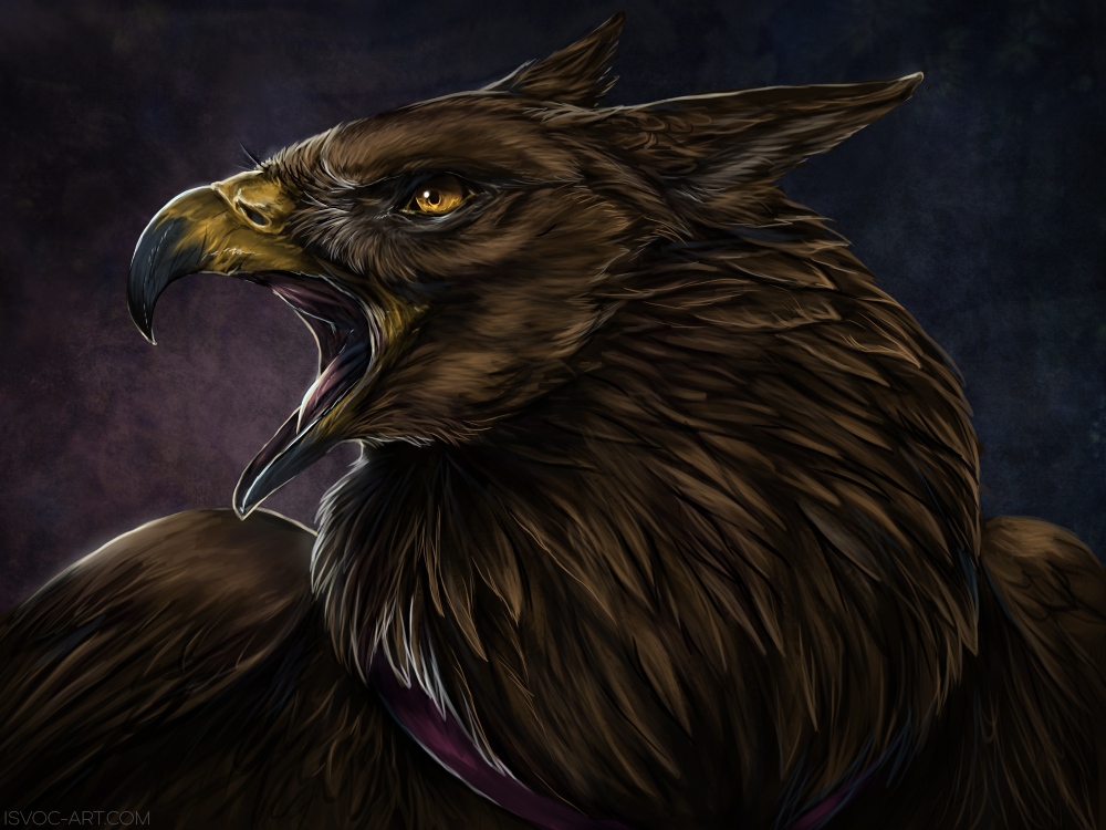 The Big ImageBoard (TBIB) - 4:3 ambiguous gender avian beak brown body brown feathers digital ...