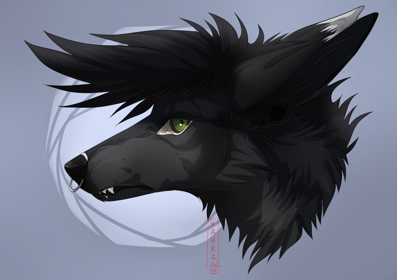 The Big ImageBoard (TBIB) - 2015 black fur black lips black nose canine dog facial piercing fur ...