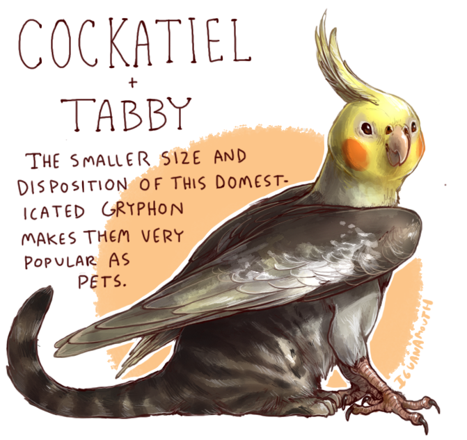 The Big ImageBoard (TBIB) - ambiguous gender avian beak bird cockatiel cockatoo domestic cat ...