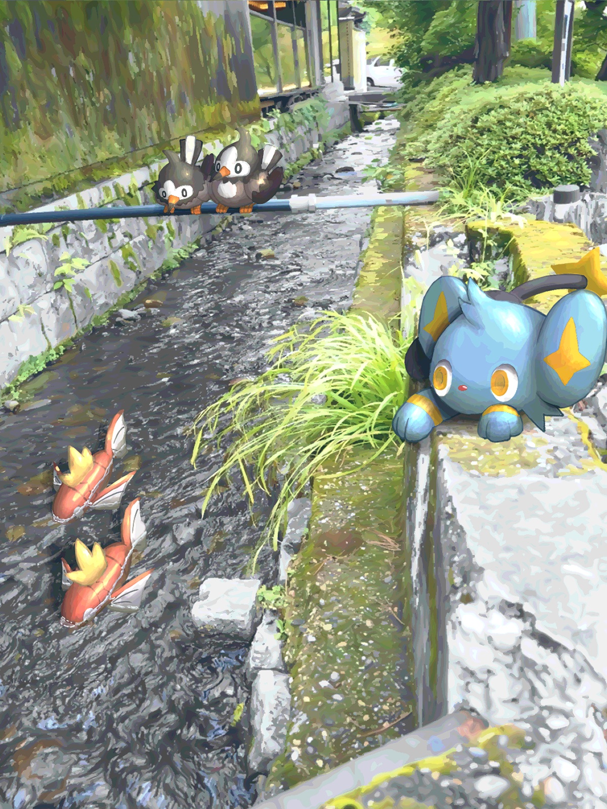 The Big ImageBoard (TBIB) - 2025 3:4 ambiguous gender avian bird blue body blue fur car ...