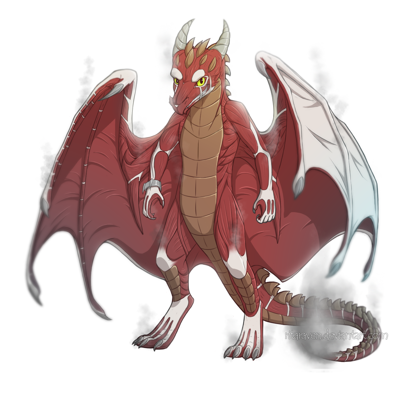 The Big ImageBoard (TBIB) - 5 fingers anthro biped digitigrade dragon ...
