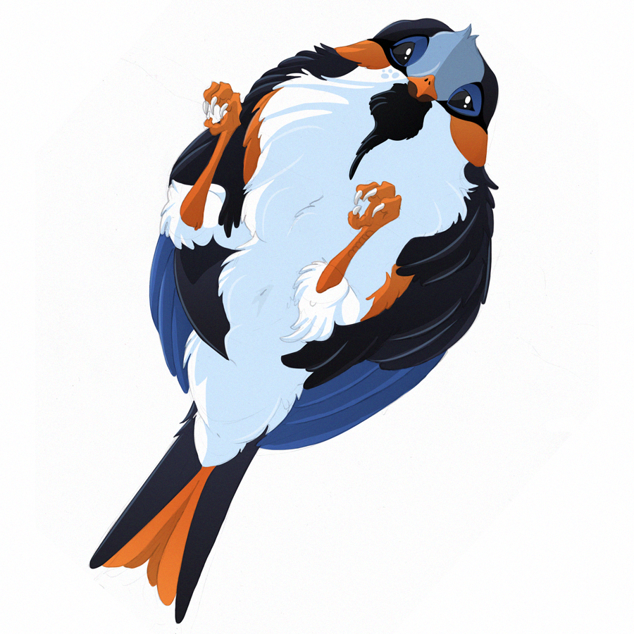The Big ImageBoard (TBIB) - 2016 ambiguous gender avian bird black feathers blue feathers dnk ...