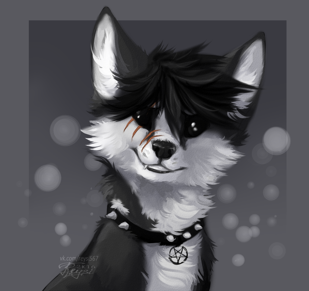 The Big ImageBoard (TBIB) - black eyes black hair black lips black nose canid canine canis ...