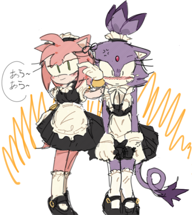 The Big Imageboard Tbib 2girls Alternate Costume Amy Rose Blaze The