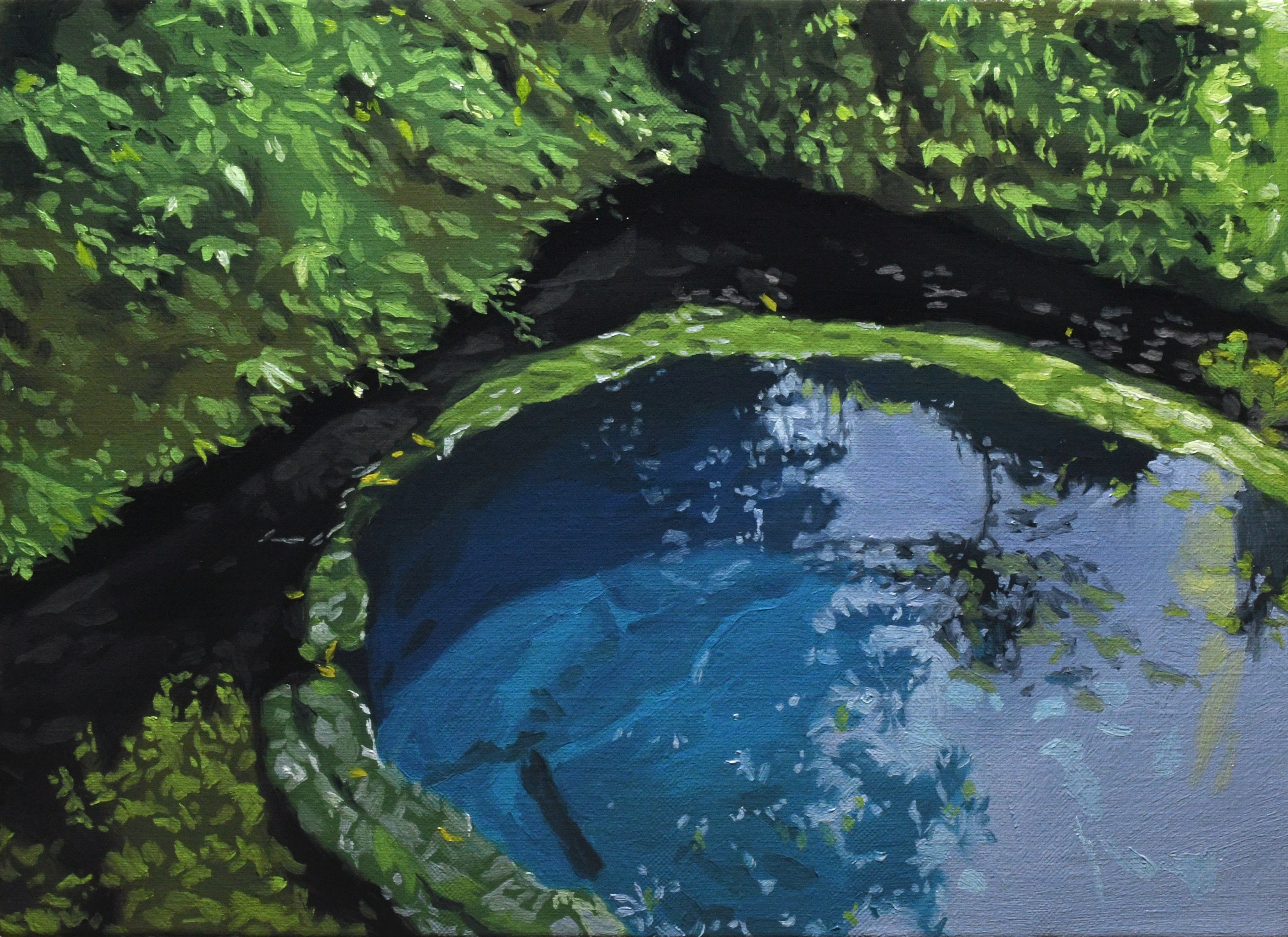 The Big ImageBoard (TBIB) - absurdres bush forest grass highres leaf ...