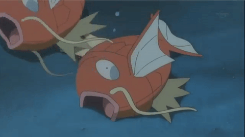 The Big ImageBoard (TBIB) - animated animated gif magikarp no humans ...