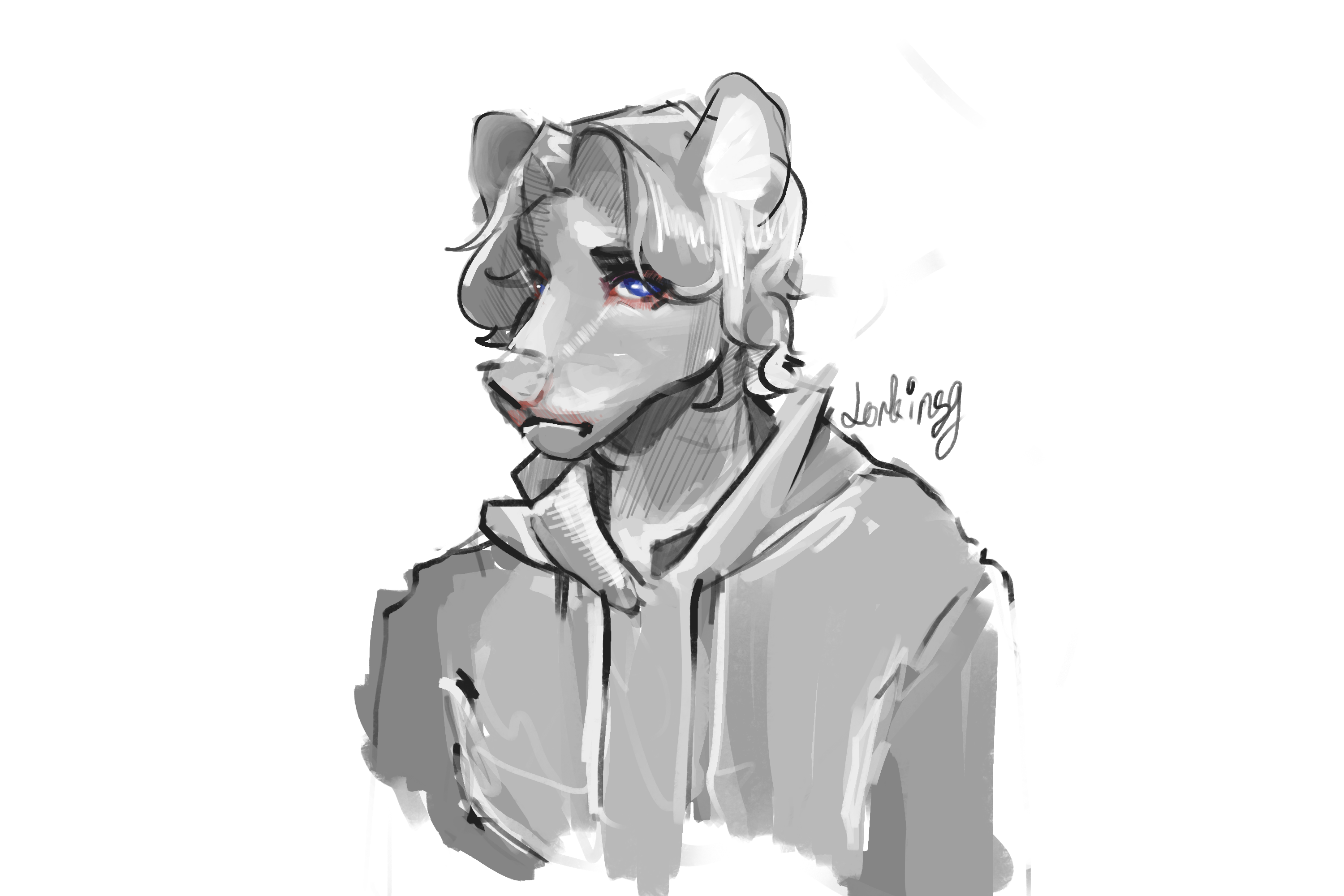 The Big Imageboard Tbib 32 American Opossum Anthro Hi Res Lorkinsg 2853