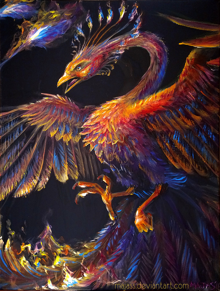 The Big ImageBoard (TBIB) - ambiguous gender avian bird black background feathered wings ...