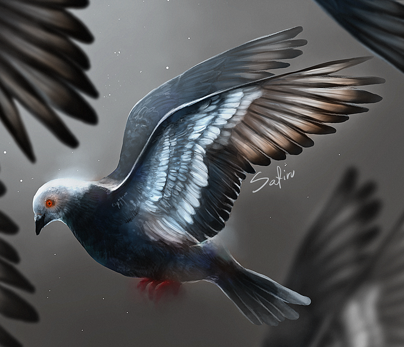 The Big Imageboard Tbib Ambiguous Gender Avian Beak Bird Blue