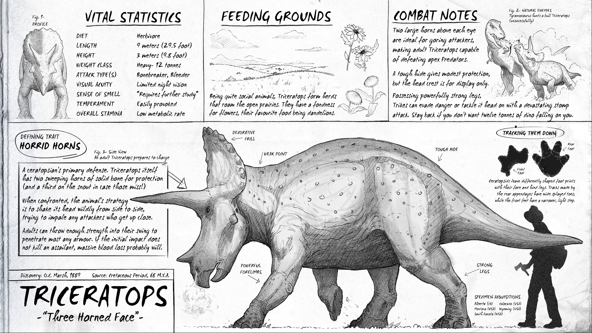 The Big ImageBoard (TBIB) - 2 fingers 3 toes 4 fingers 4 toes ambiguous gender beak blood ...