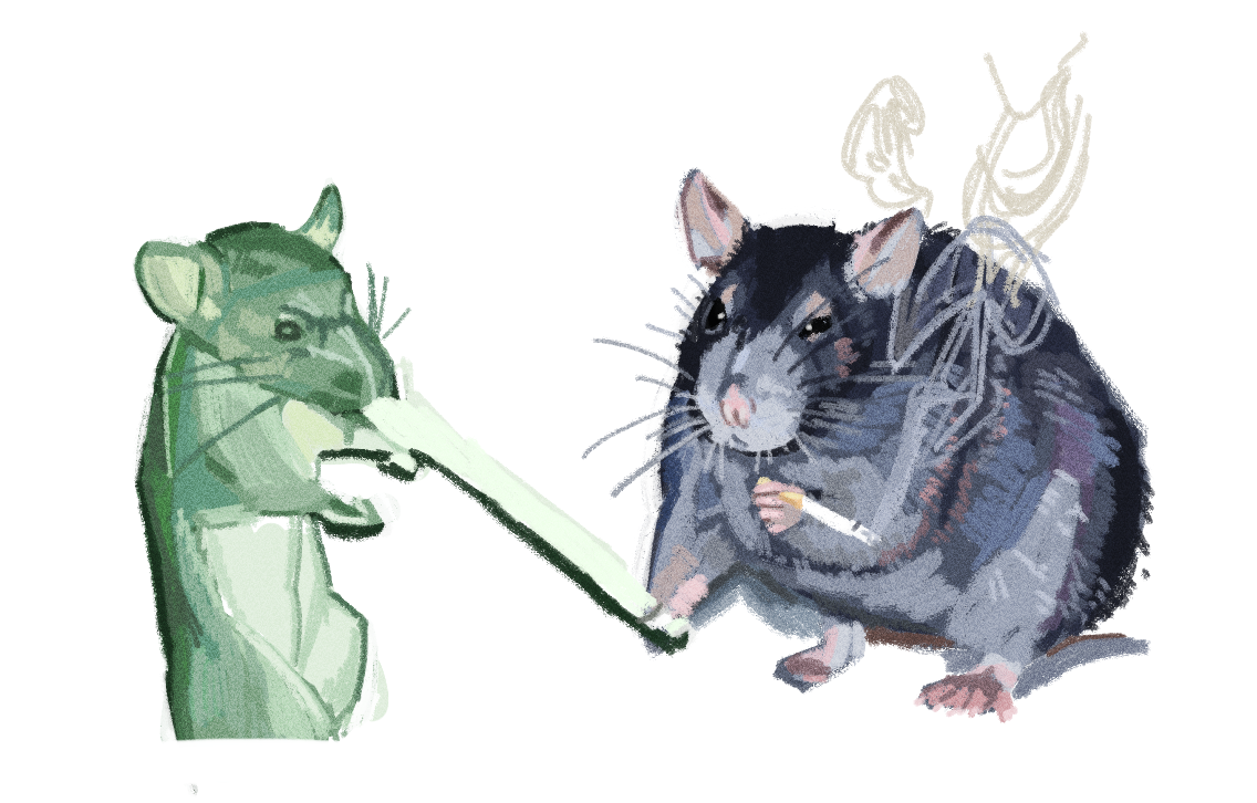 The Big ImageBoard (TBIB) - animal animal focus cigarette commentary ...