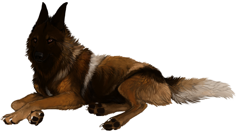 The Big ImageBoard (TBIB) - alpha channel black nose brown eyes brown fur canine dog feral fur ...