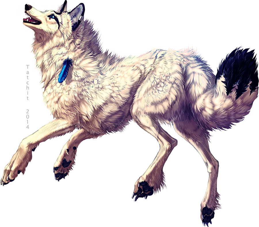 The Big ImageBoard (TBIB) - 2014 4 toes alpha channel ambiguous gender black nose blue feathers ...